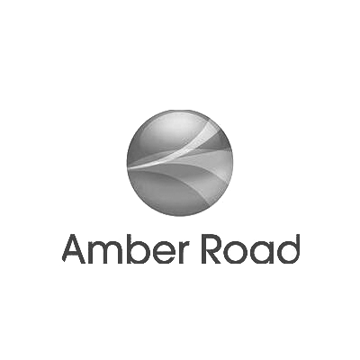 Amber Road|界盟客户|SEO|PPC管理|界盟科技Jademond Digital